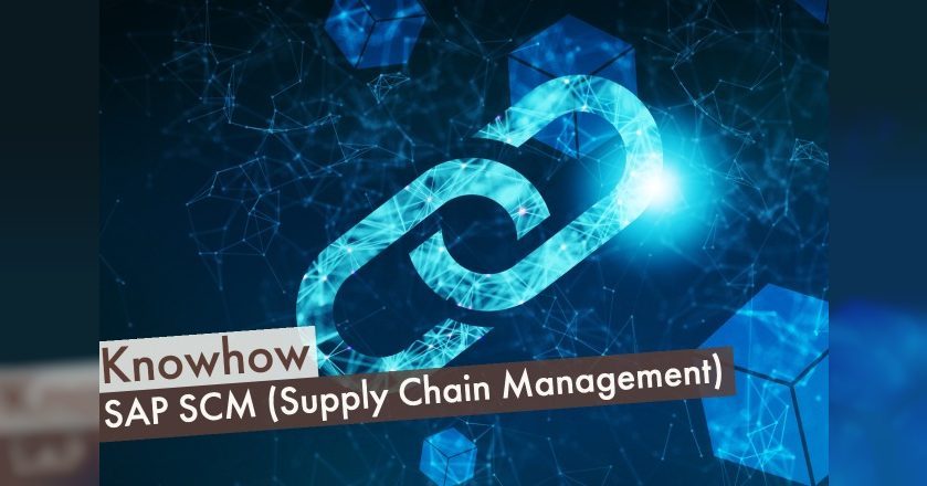 SAP SCM - Supply Chain Management mit SAP | Mindlogistik