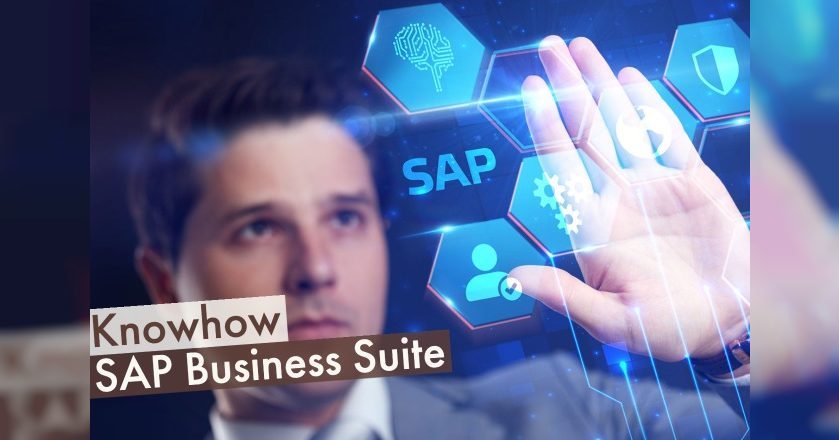 SAP Business Suite | Mindlogistik