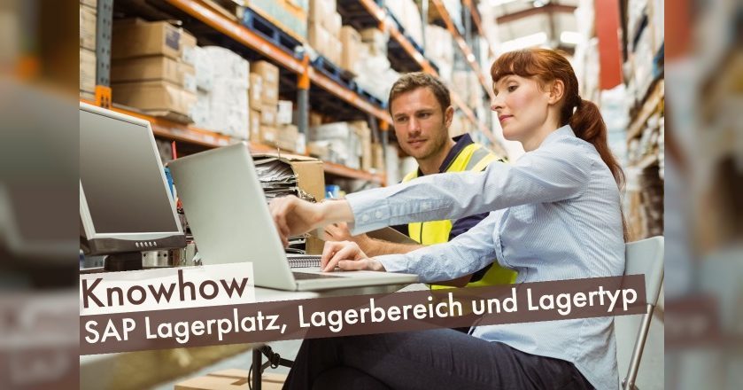 SAP Lagerplatz, Lagerbereich und Lagertyp | Mindlogistik