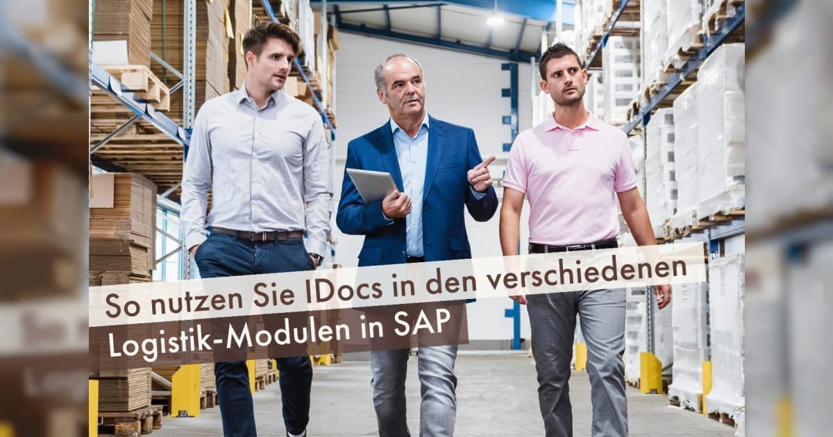 IDocs in den SAP Logistik-Modulen nutzen | Mindlogistik