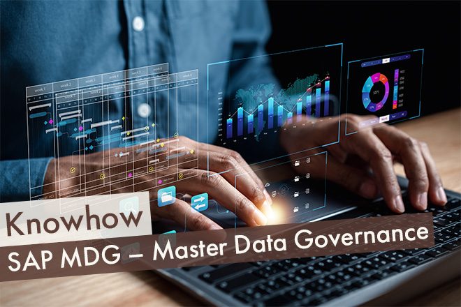 SAP MDG - Master Data Governance | Mindlogistik