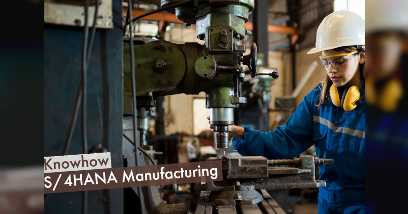 SAP S/4HANA Manufacturing | Mindlogistik