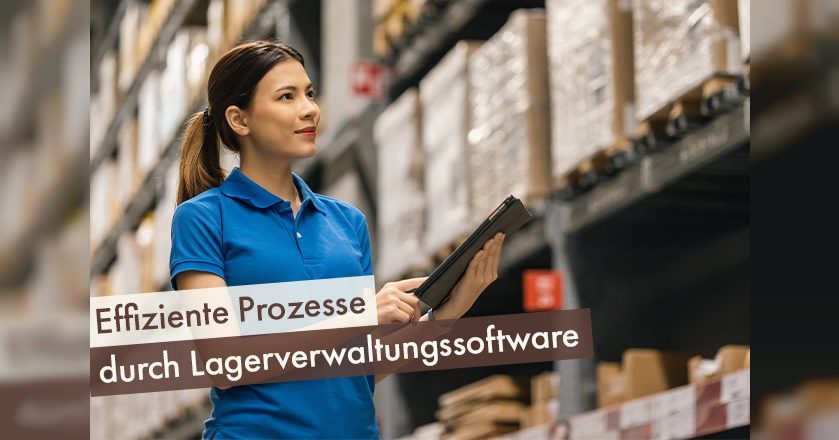 Lagerverwaltungssoftware | Mindlogistik