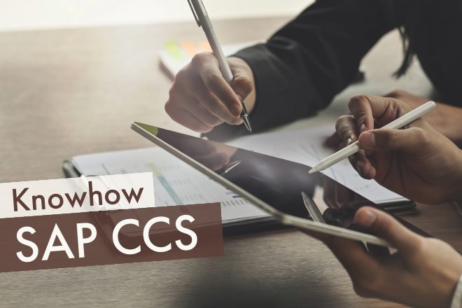 SAP CCS: Konditionsmanagement in SAP | Mindlogistik