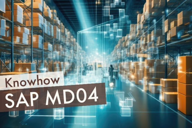 SAP MD04 | Mindlogistik