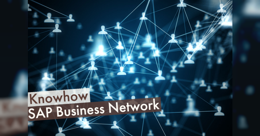 SAP Business Network | Mindlogistik