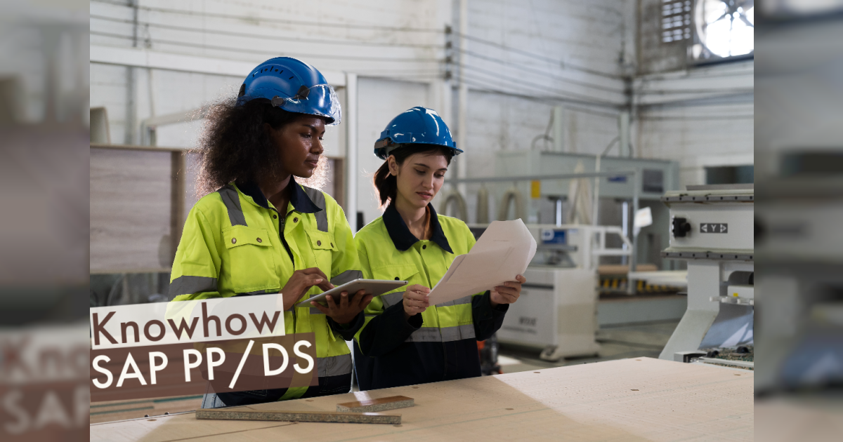 SAP PP/DS | Mindlogistik