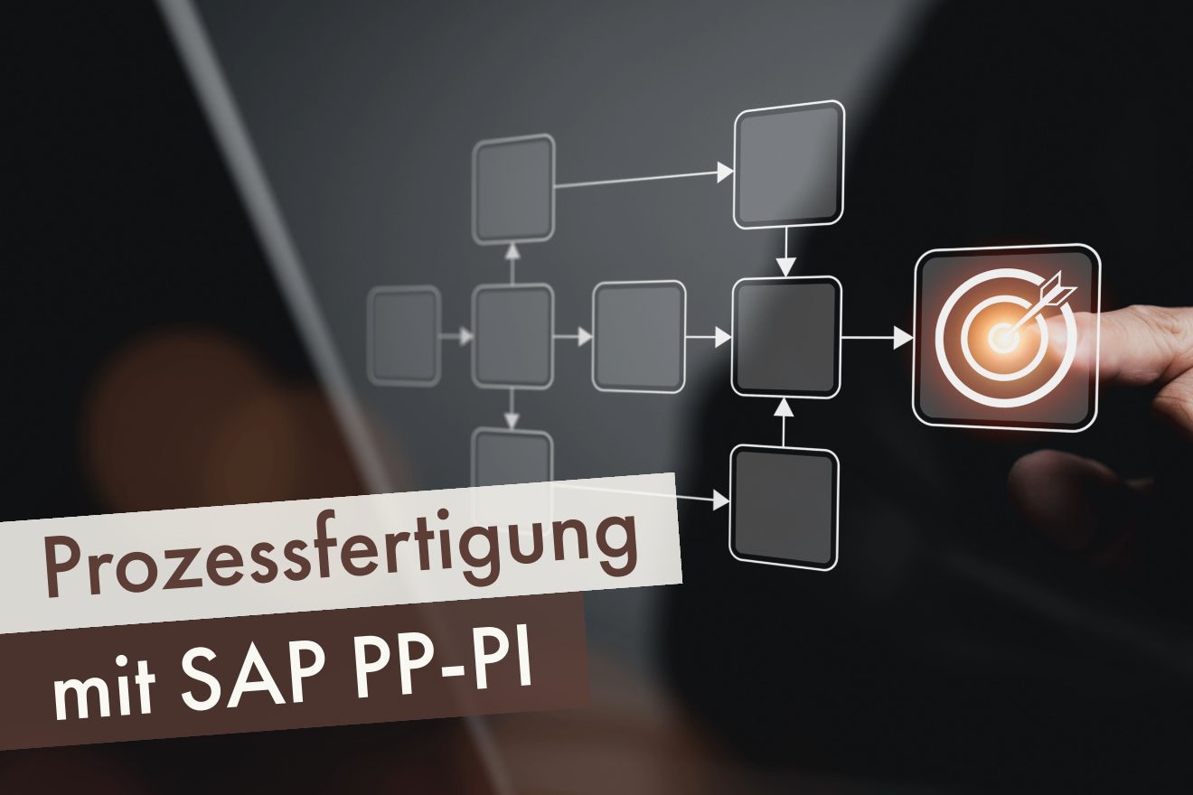 Prozessfertigung mit SAP PP-PI | Mindlogistik